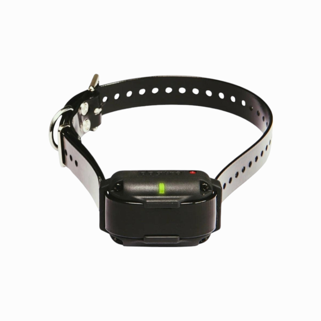 Dogtra Edge RT Additional Receiver | Dogtra Edge Collar – Top Notch K9 ...